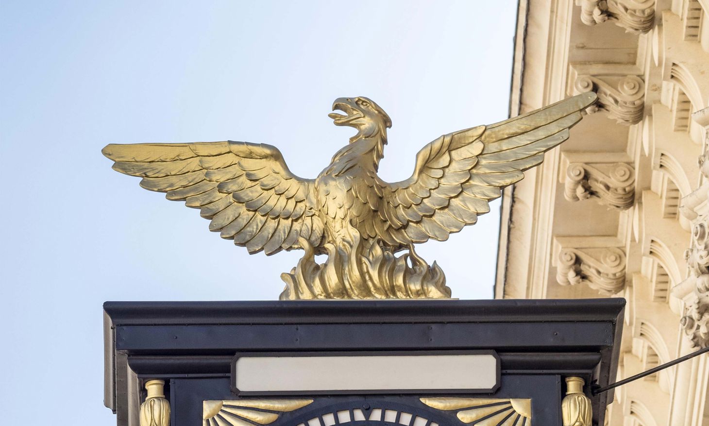 Blue Phoenix Group | Portfolio | Daiwa International Captial Partners